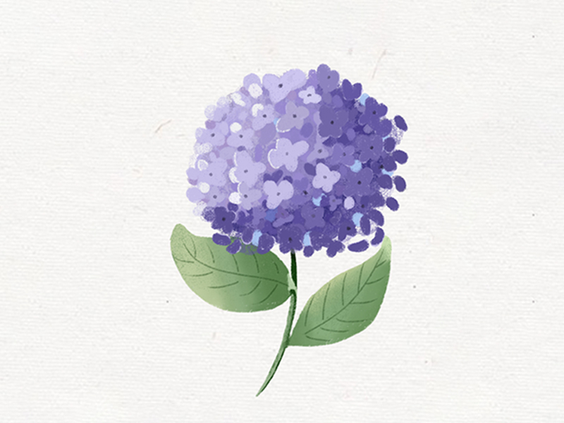 2025年插画练习95/100_jounycc-站酷ZCOOL