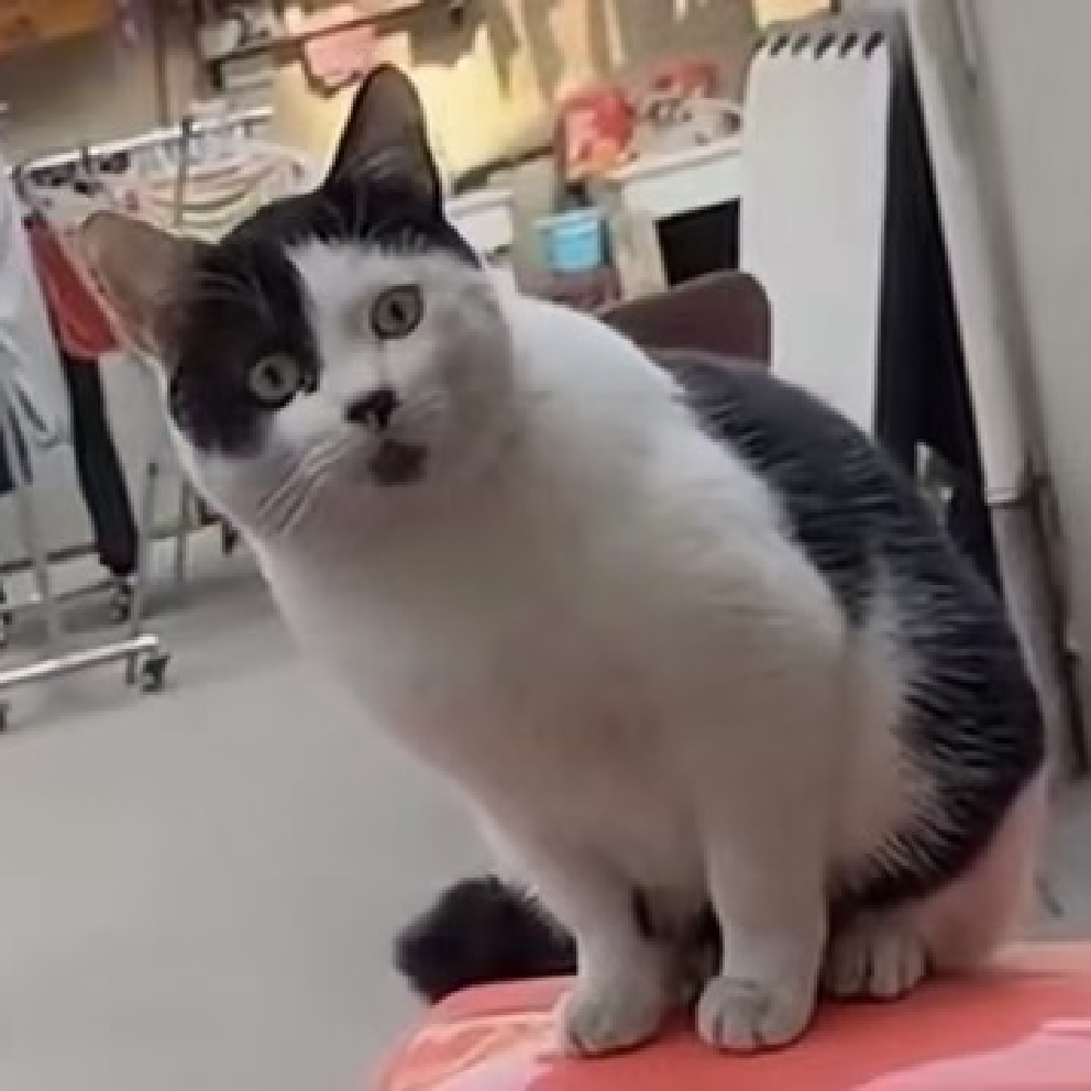 3D视觉SuSu创作者主页_深圳动画师-站酷ZCOOL