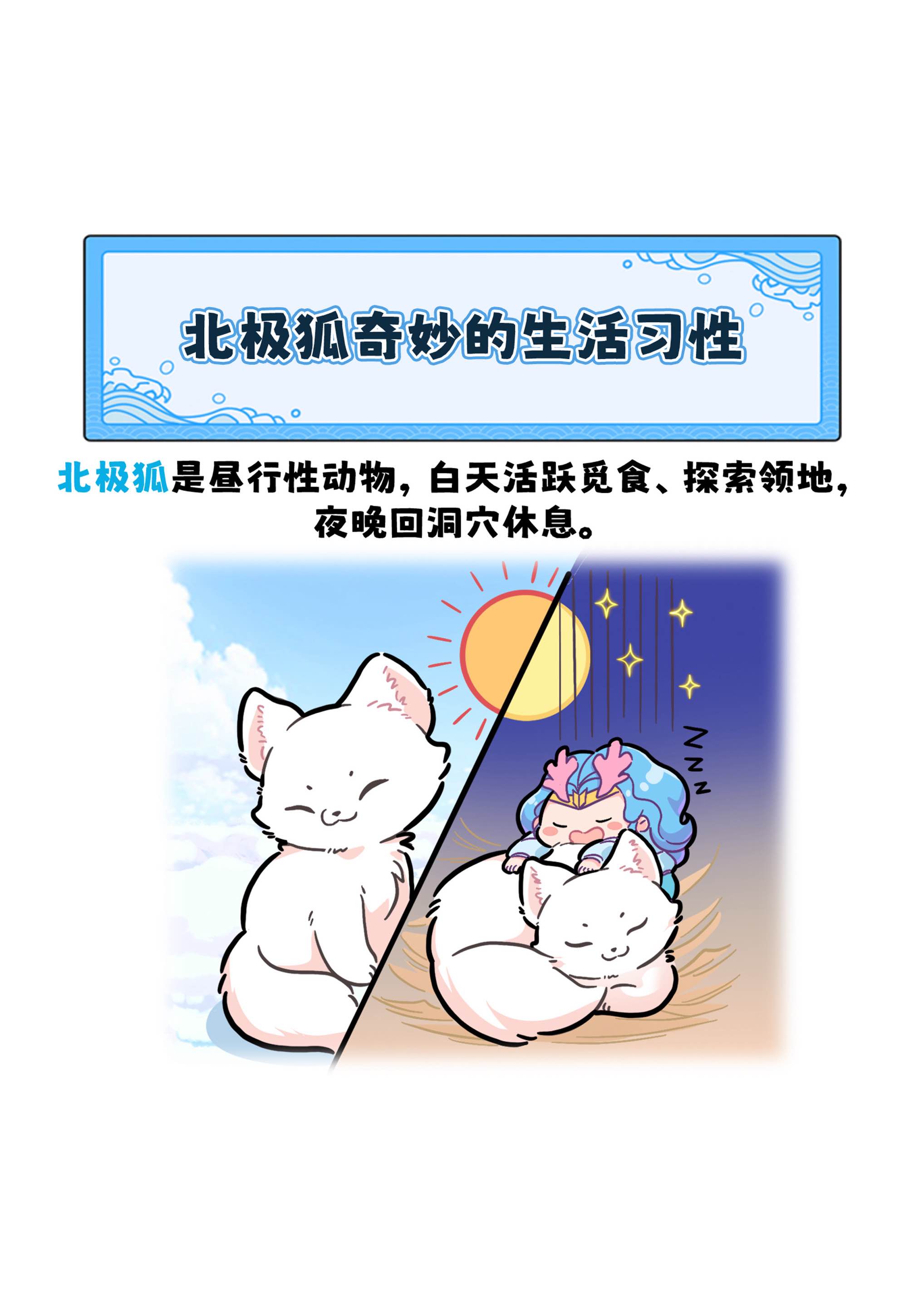 北极狐奇妙的生活习性﻿﻿_巴蒂Buddy-站酷ZCOOL
