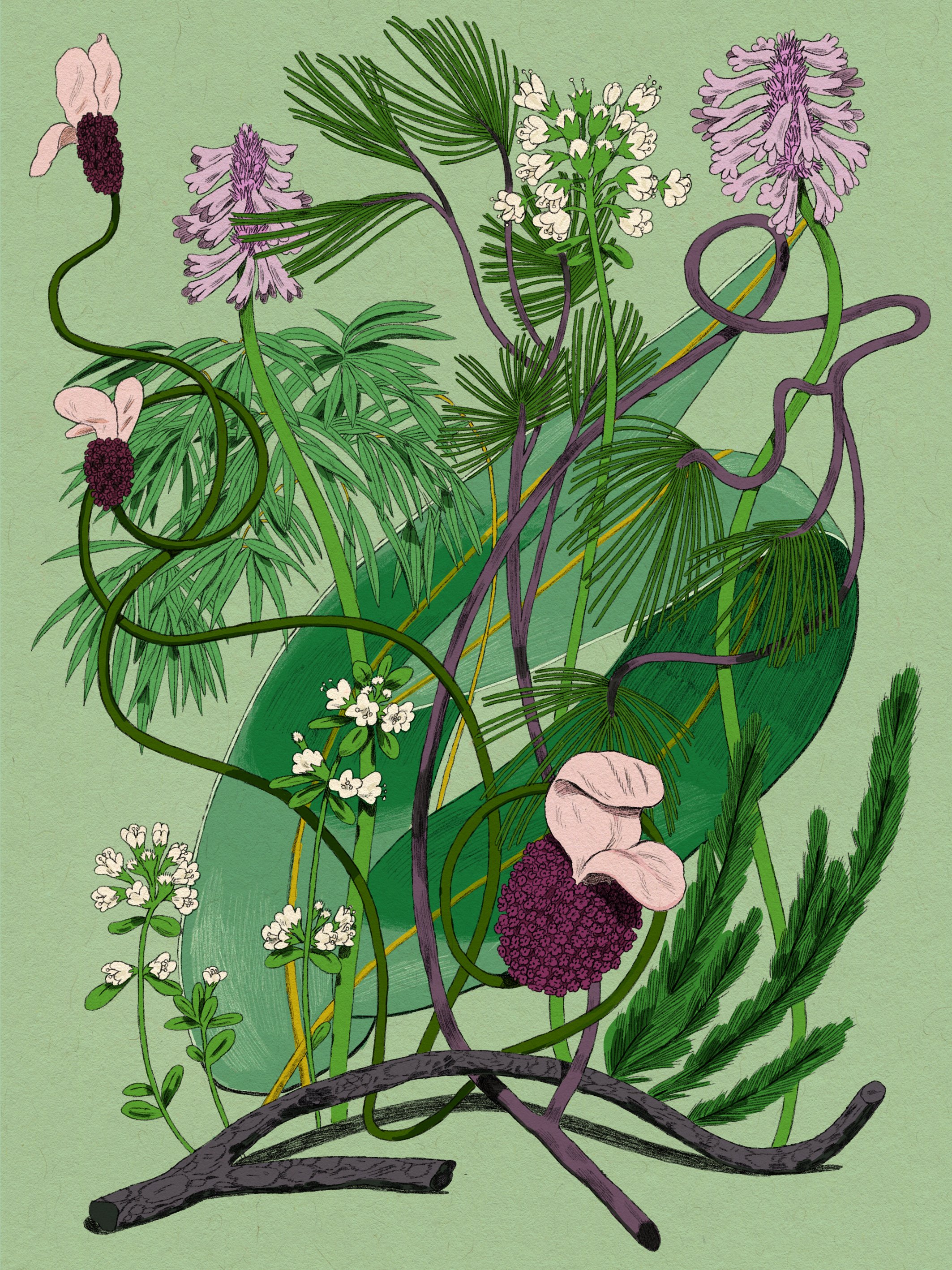 征服顶级奢侈品牌的插画师-美国插画艺术家Karlotta Freier｜365天的好设计NO.107_站酷资讯-站酷ZCOOL