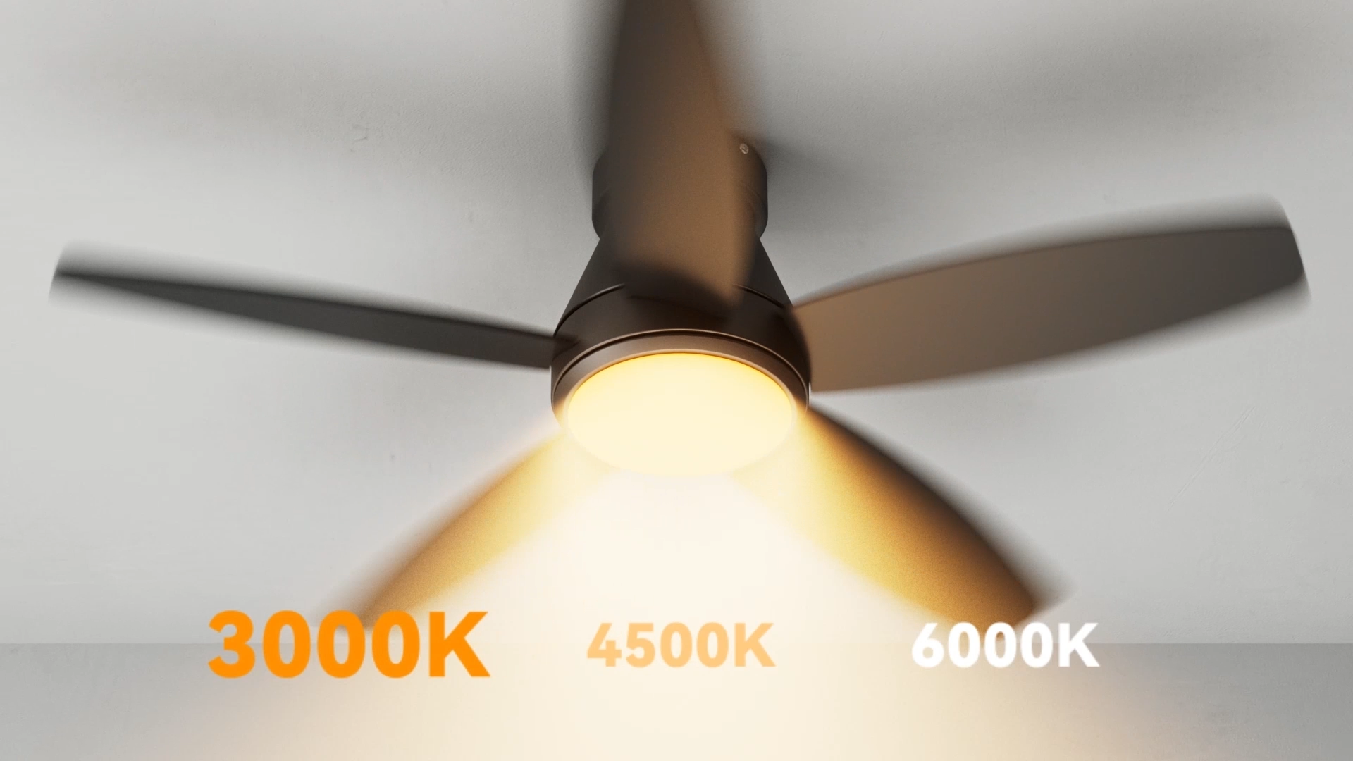 亚马逊风扇灯产品动画_LZL_STUDIO-站酷ZCOOL