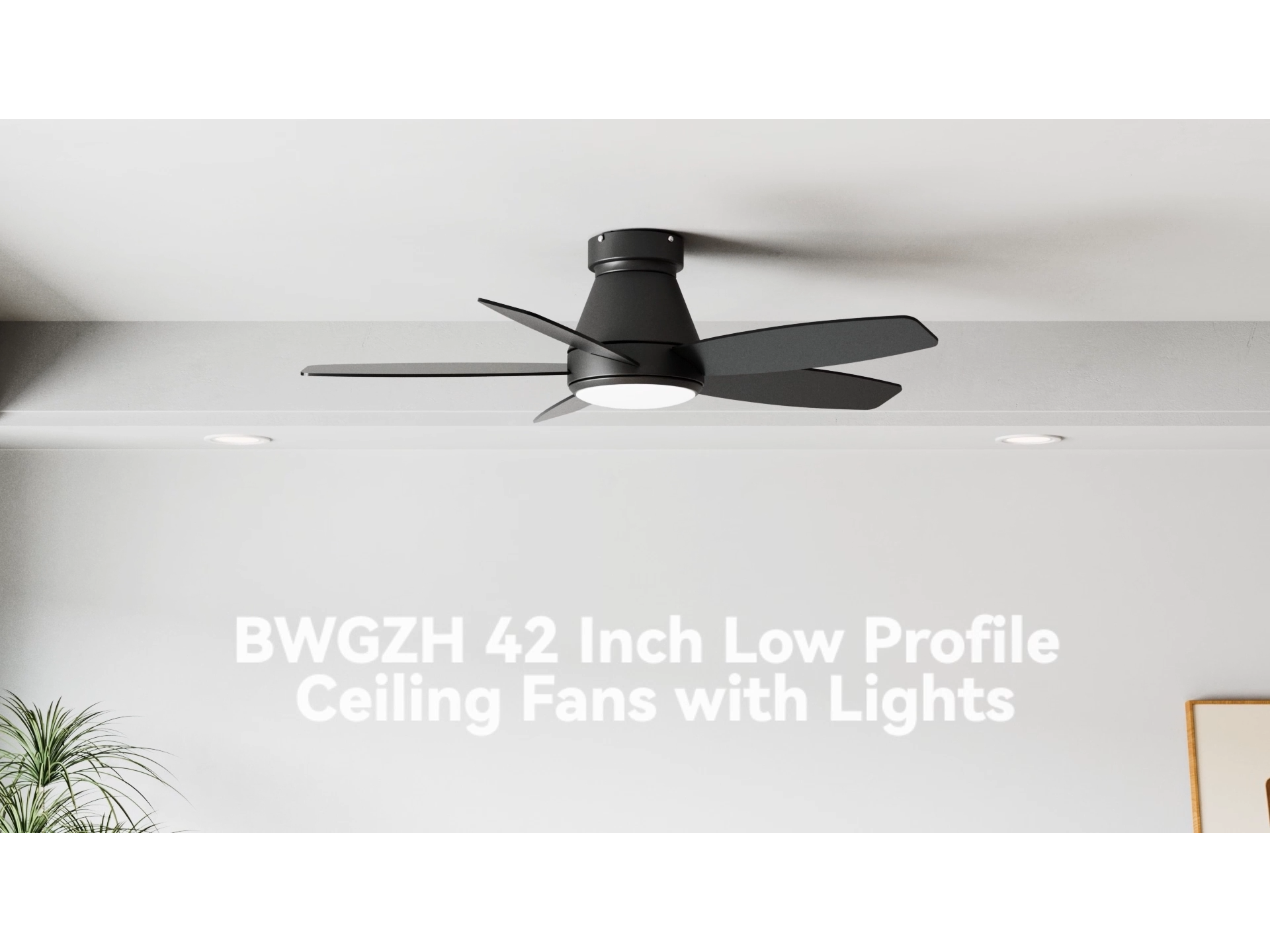 亚马逊风扇灯产品动画_LZL_STUDIO-站酷ZCOOL