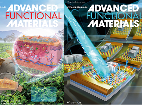 AFM杂志封面合集展示_邦图文化-站酷ZCOOL