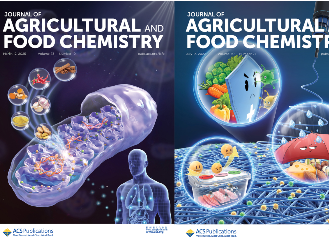 JAFC杂志封面汇总展示 邦图文化_邦图文化-站酷ZCOOL