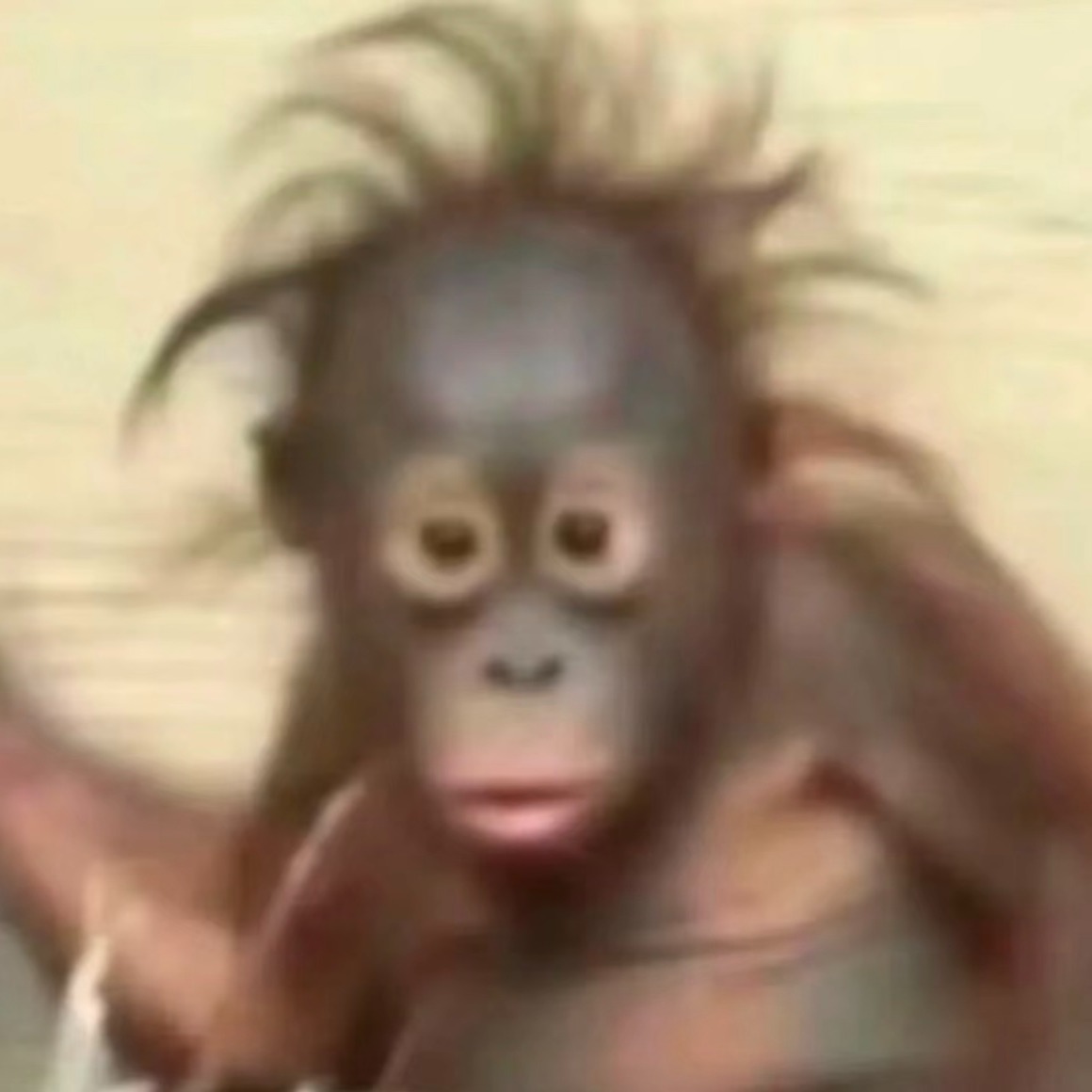 提笔落烟创作者主页_其他设计爱好者-站酷ZCOOL