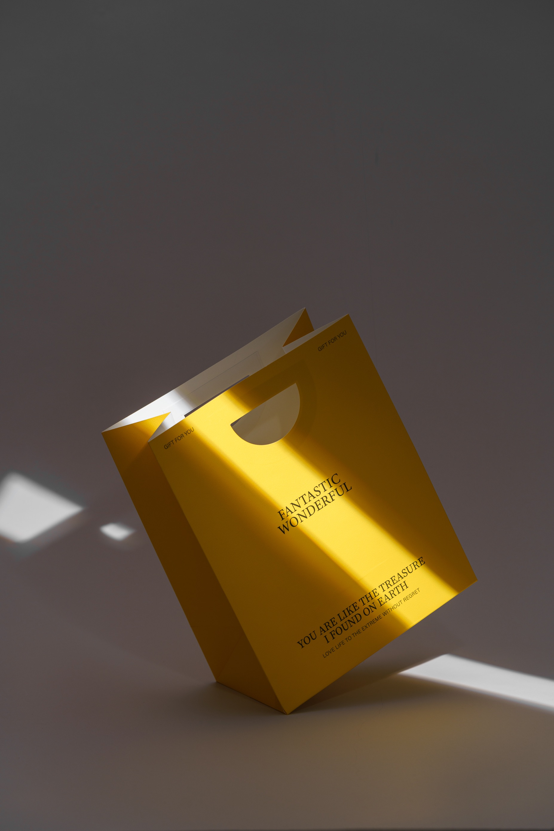 礼品手提袋_H豪摄影-站酷ZCOOL