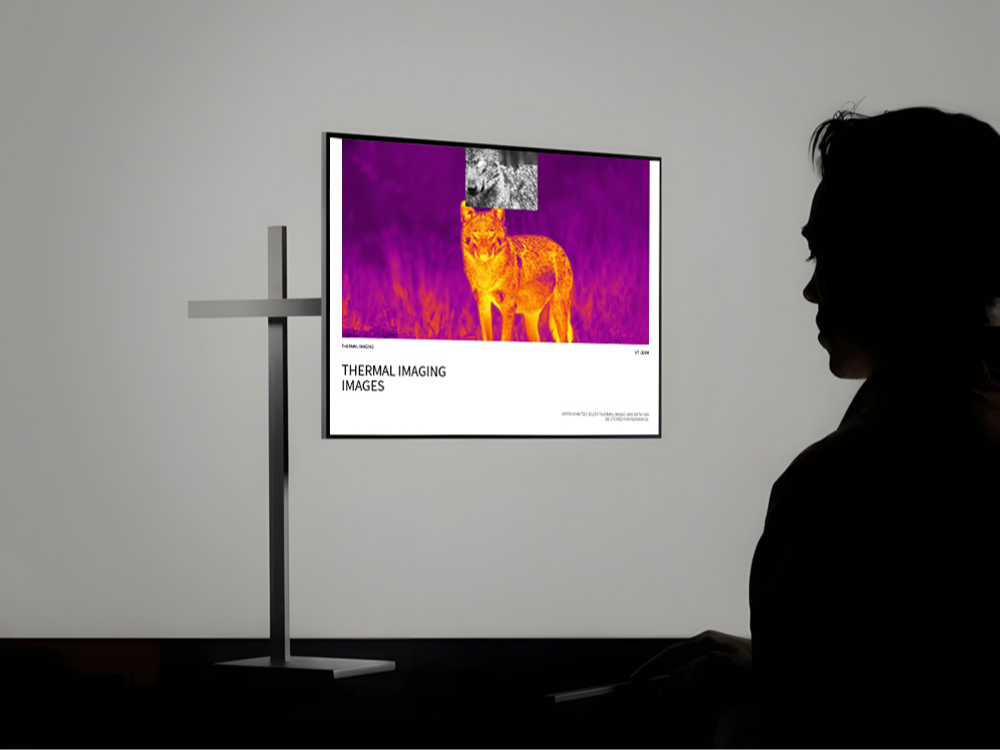 赋能企业官网｜海外网站设计_Aria咦-站酷ZCOOL