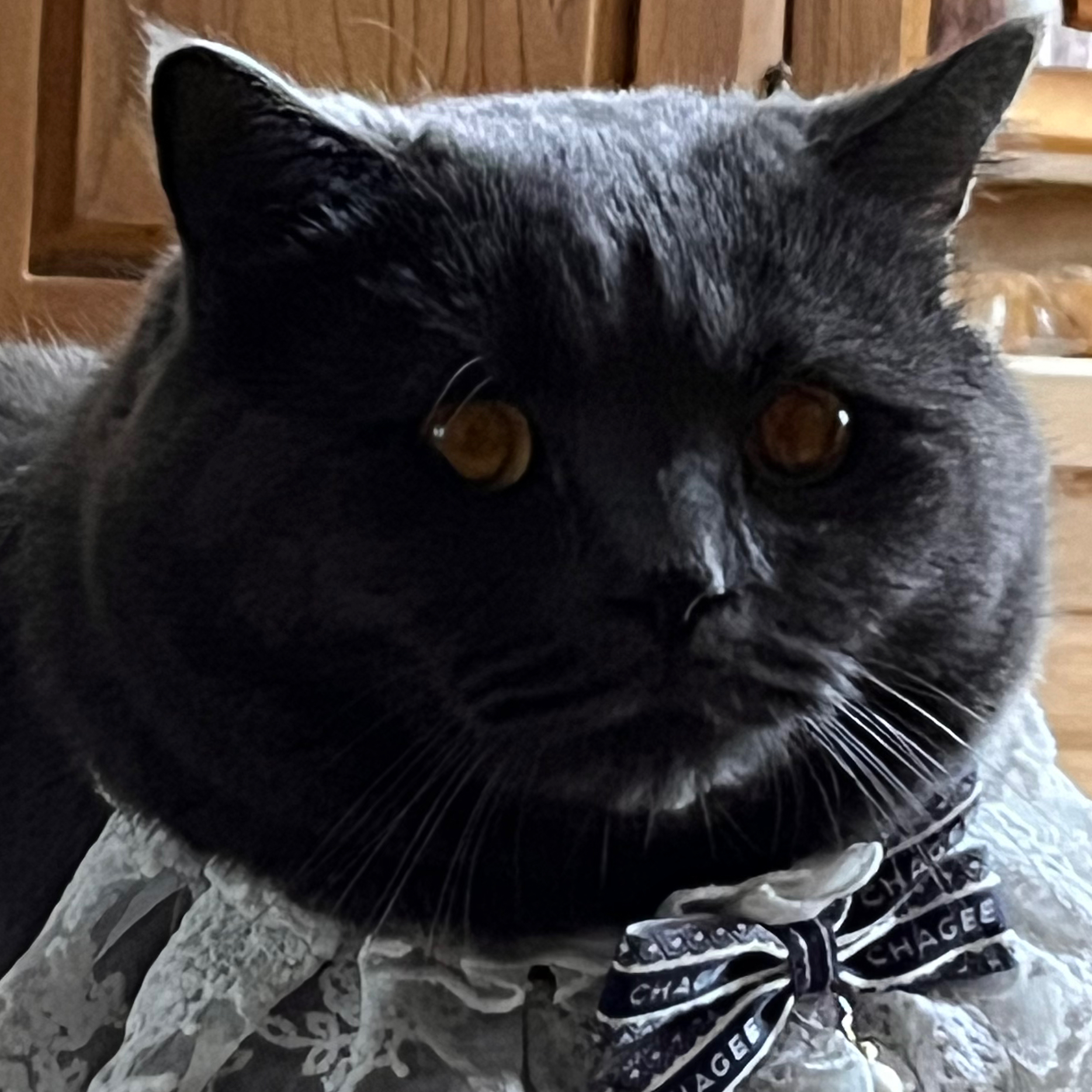 山山而川BL创作者主页_青岛插画师-站酷ZCOOL