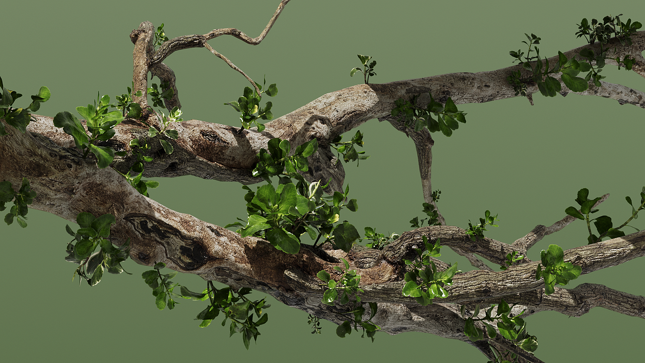 蓝牙（个人作品）_Janyani-站酷ZCOOL