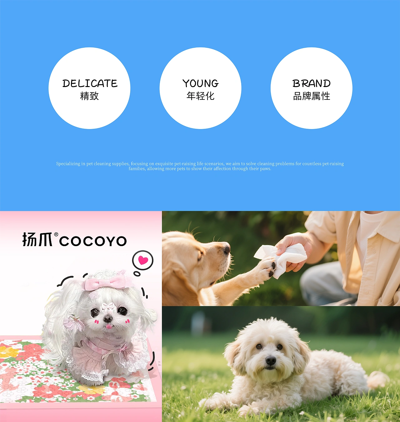 扬爪cocoyo|系列宠物训导尿垫包装设计_上海米克包装设计-站酷ZCOOL
