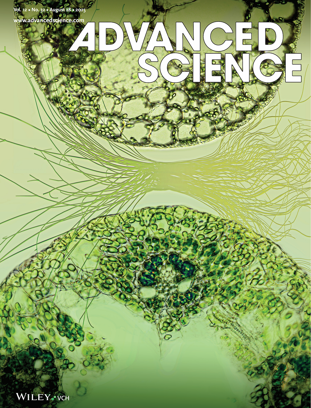 Advanced Science杂志封面汇总展示_邦图文化-站酷ZCOOL