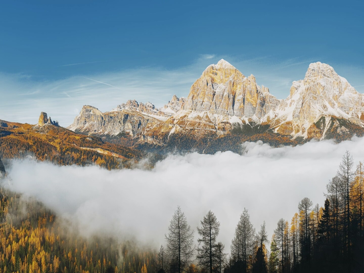 易烊千玺高清图片_素材网站_图片免费下载-ZCOOL站酷