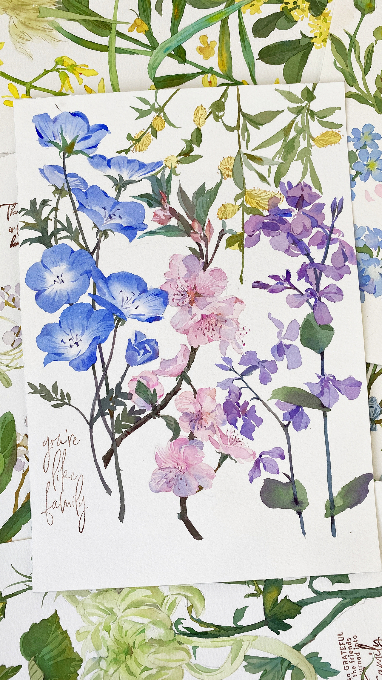 2026花卉月历_微光星星啊-站酷ZCOOL