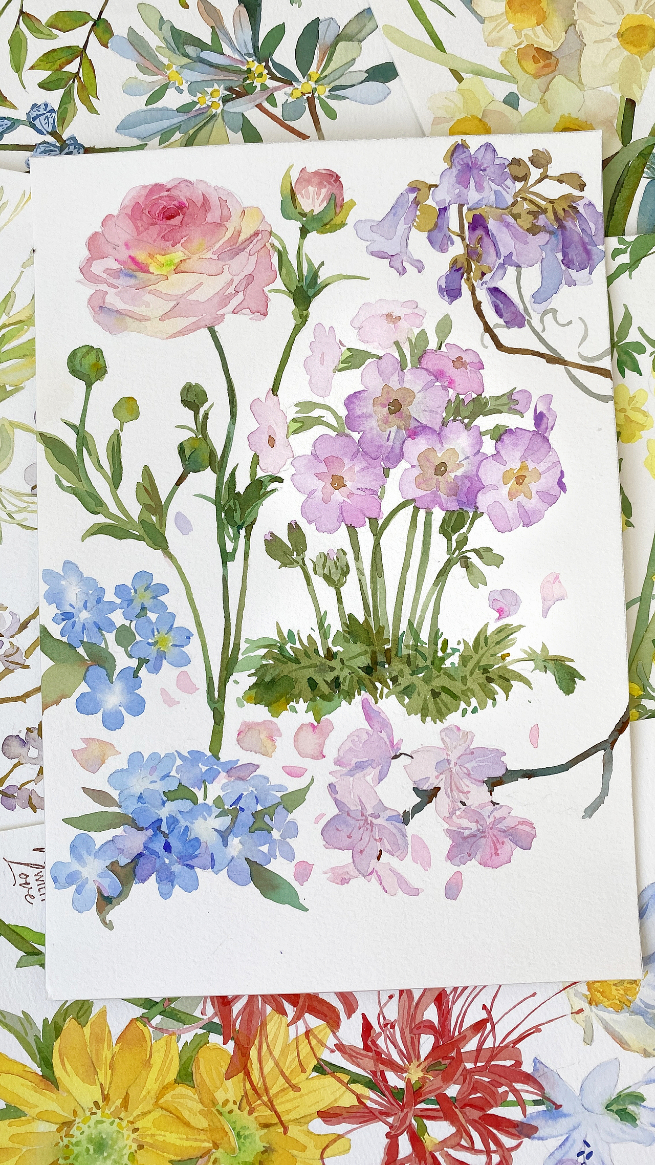 2026花卉月历_微光星星啊-站酷ZCOOL