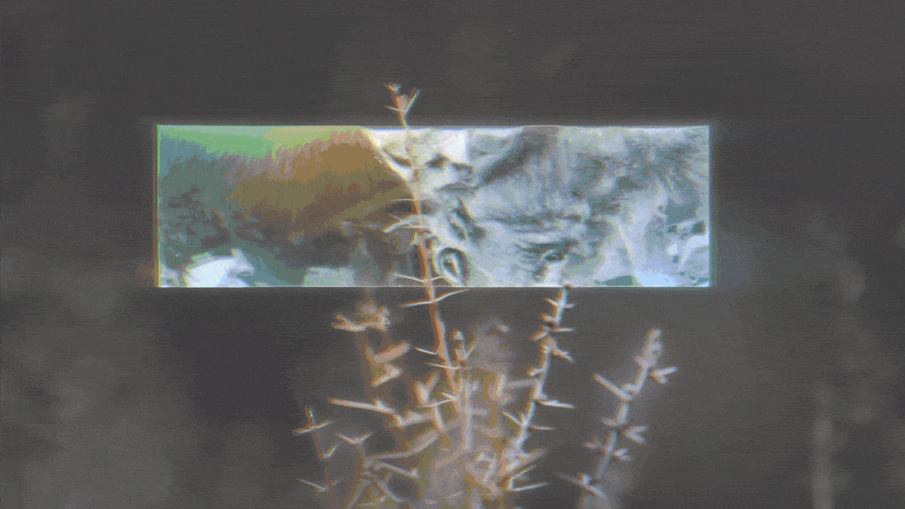 《小小的勇气》--节目视觉包装设计_奥登考特视觉-站酷ZCOOL