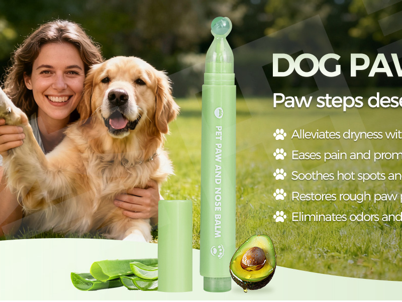 跨境宠物类主副图、A+_李田青-站酷ZCOOL