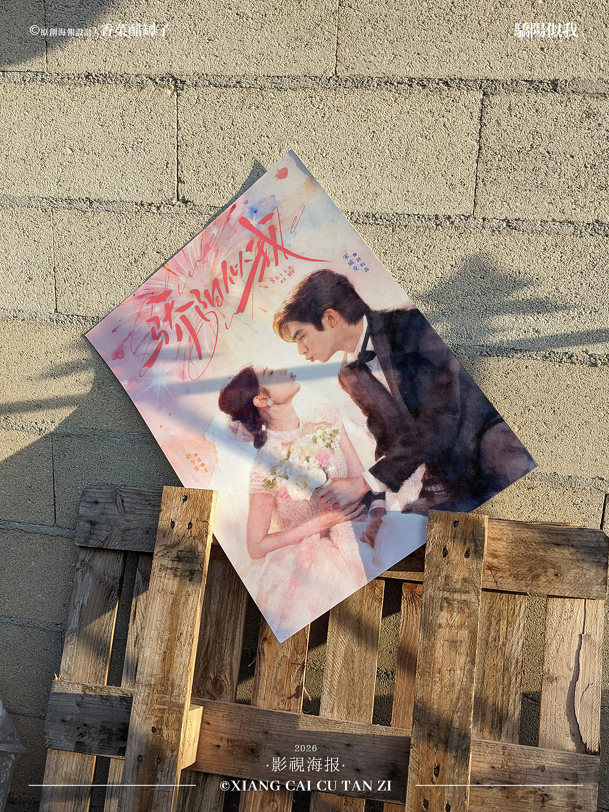 原创影视海报｜骄阳似我｜#49_香菜醋坛子-站酷ZCOOL