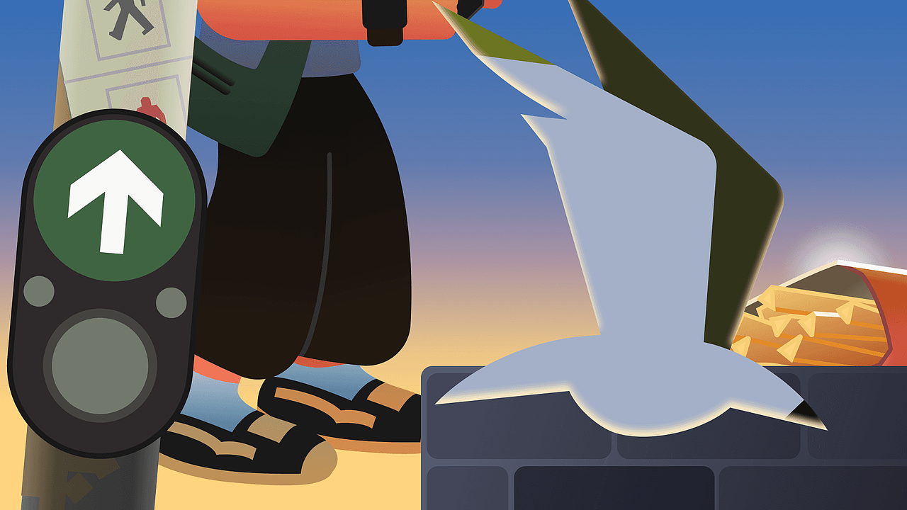 动态设计｜漫步墨尔本 - Amy Jiang Design_憨憨小龙猫-站酷ZCOOL