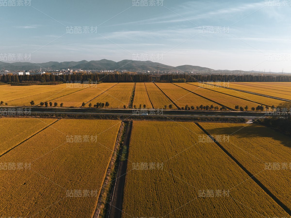 金色稻田航拍_意镜摄影_素材库大全-站酷ZCOOL