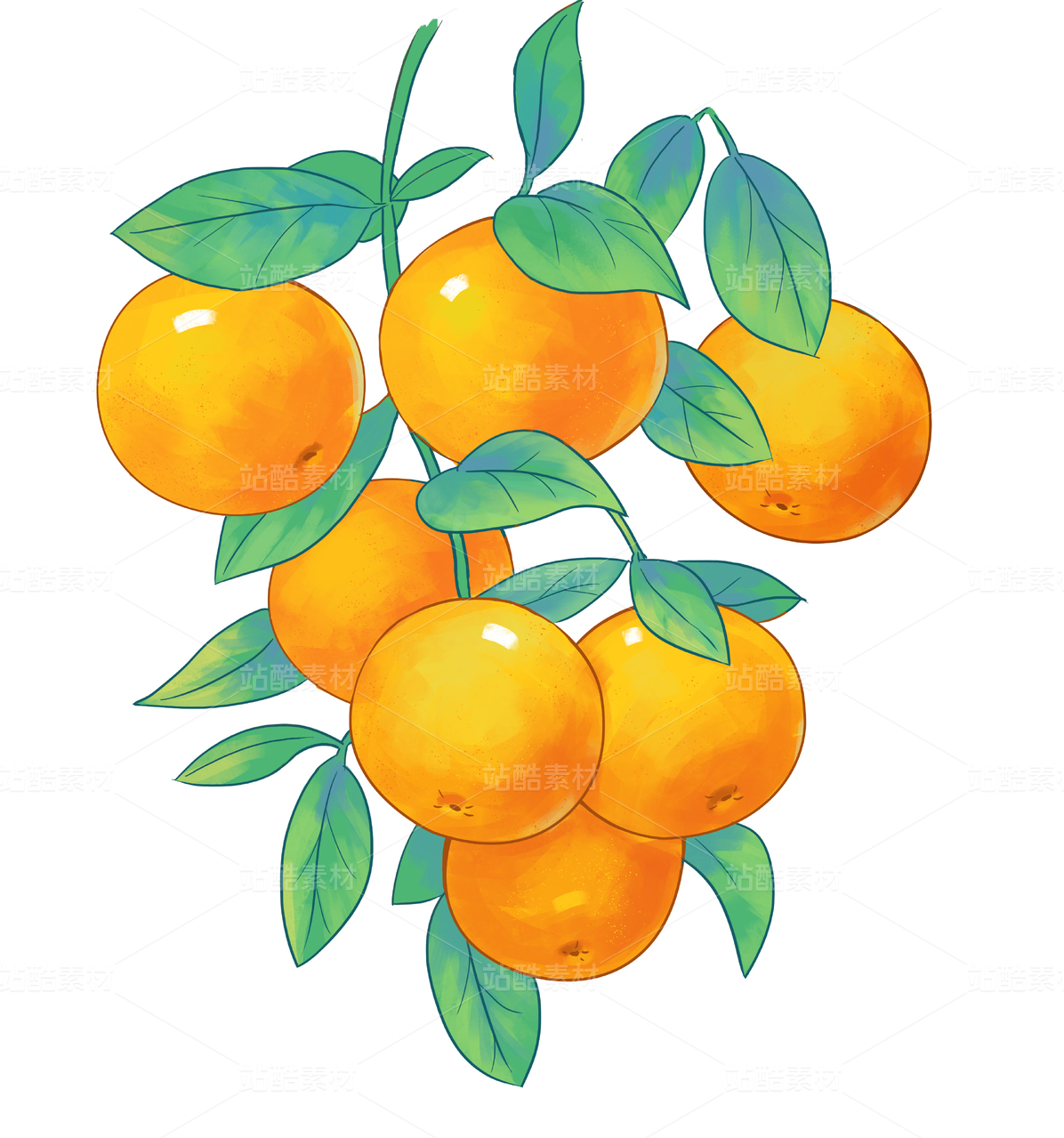 手绘桔子插画_设会青年666_素材库大全-站酷ZCOOL